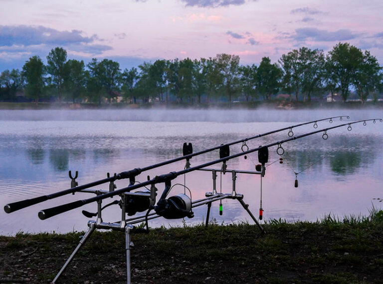 INOX Rod Pod – Carp Spirit